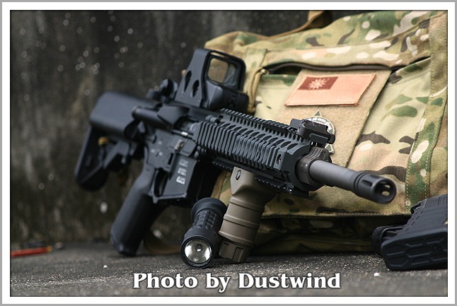 百萬年的孤寂: [開箱]VIPER TECH CUSTOM RIFLE